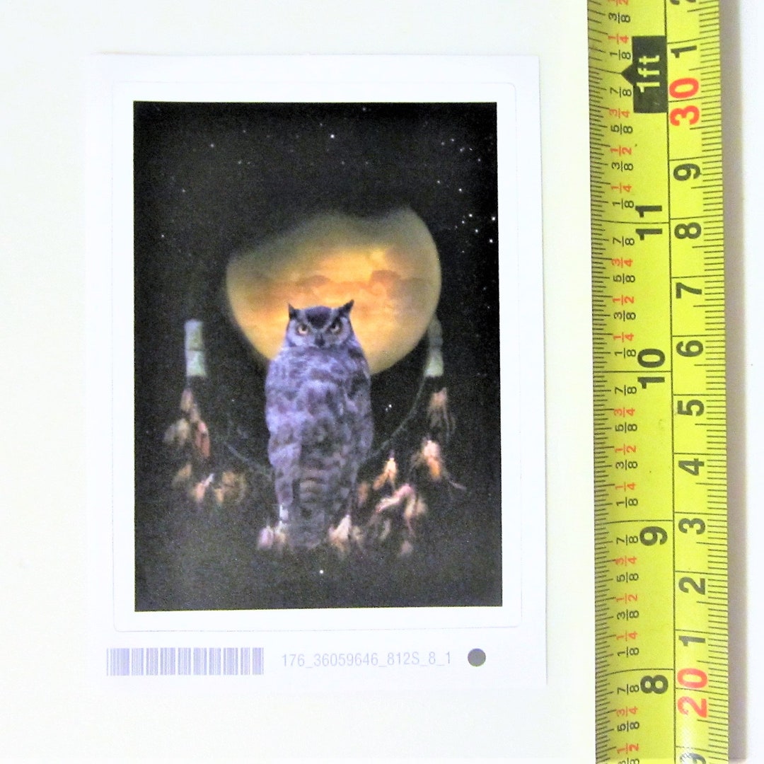 First Nations 'owl Moon' Sticker Decal West Coast Native Indigenous Art ...