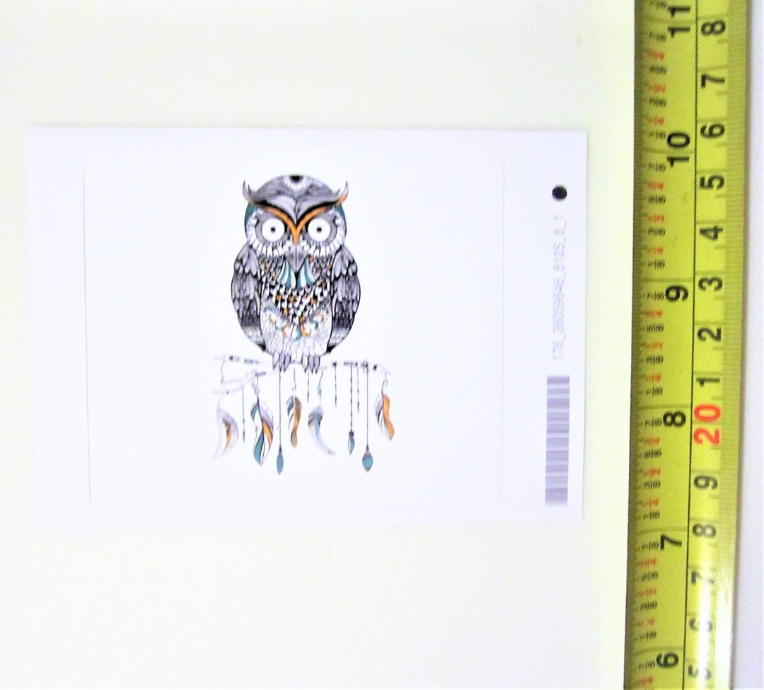 First Nations 'owl' Sticker Decal West Coast Native Indigenous Art - Etsy