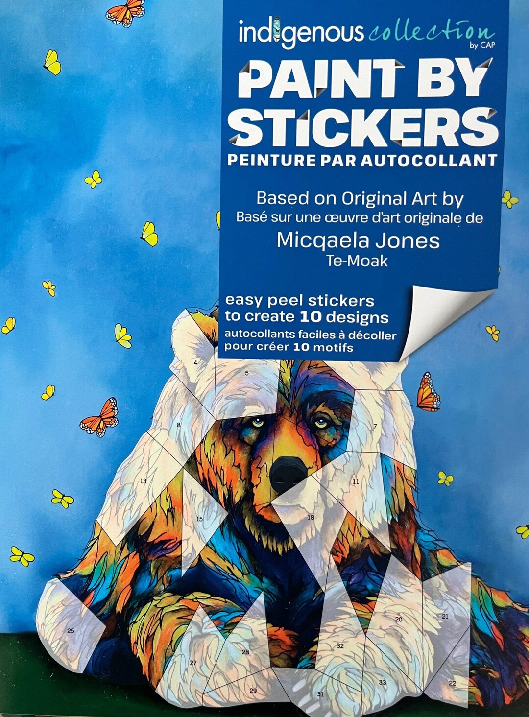 Te-moak Western Shoshone First Nation Paint by Stickers Book Great ...