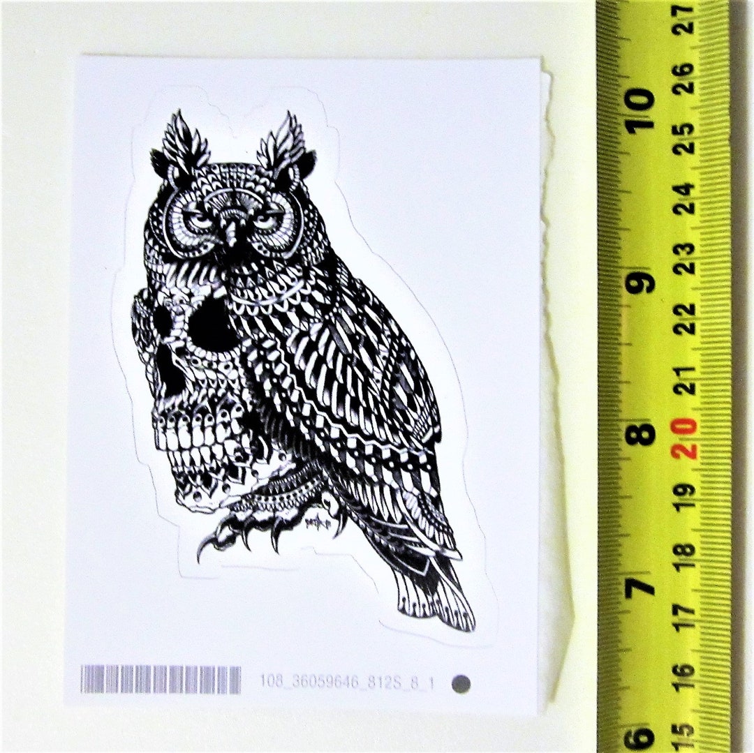 First Nations 'spirit Owl' Sticker Decal West Coast Native Indigenous ...
