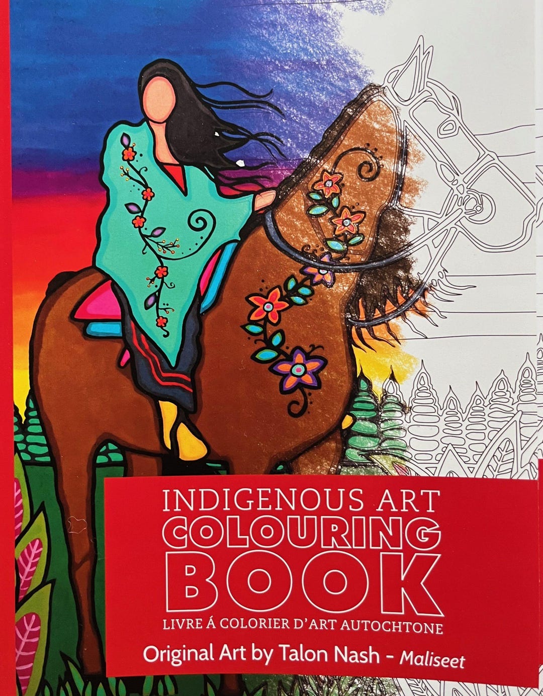 Maliseet First Nations Coloring Book Great Plains Sub Arctic Eastern ...