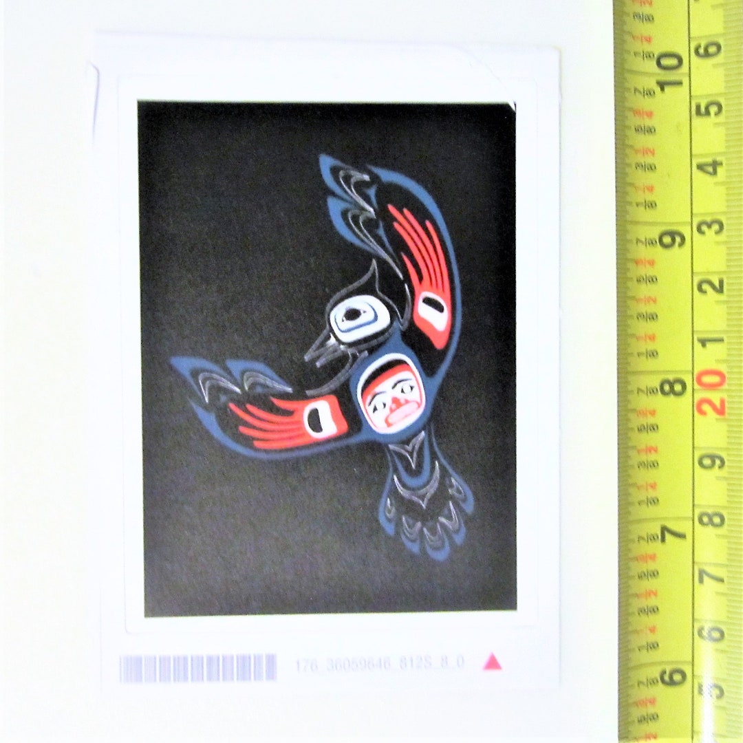 First Nations 'haida Blue Jay' Sticker Decal Pacific North West Coast ...