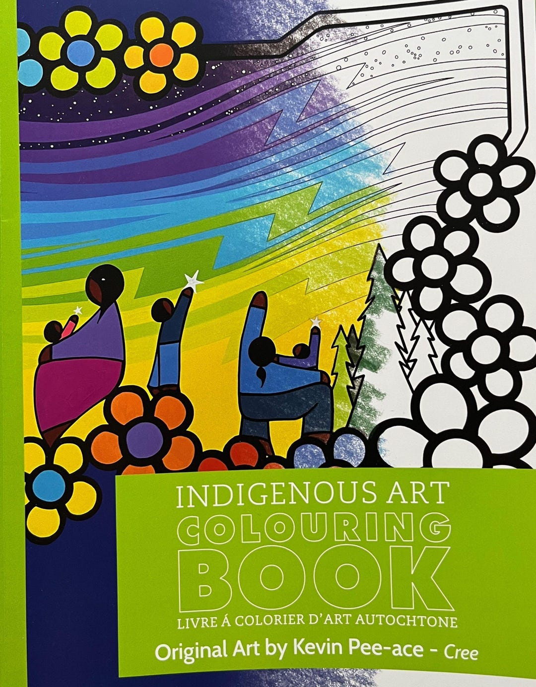 Cree First Nation Coloring Book Great Plains Sub Arctic Eastern ...