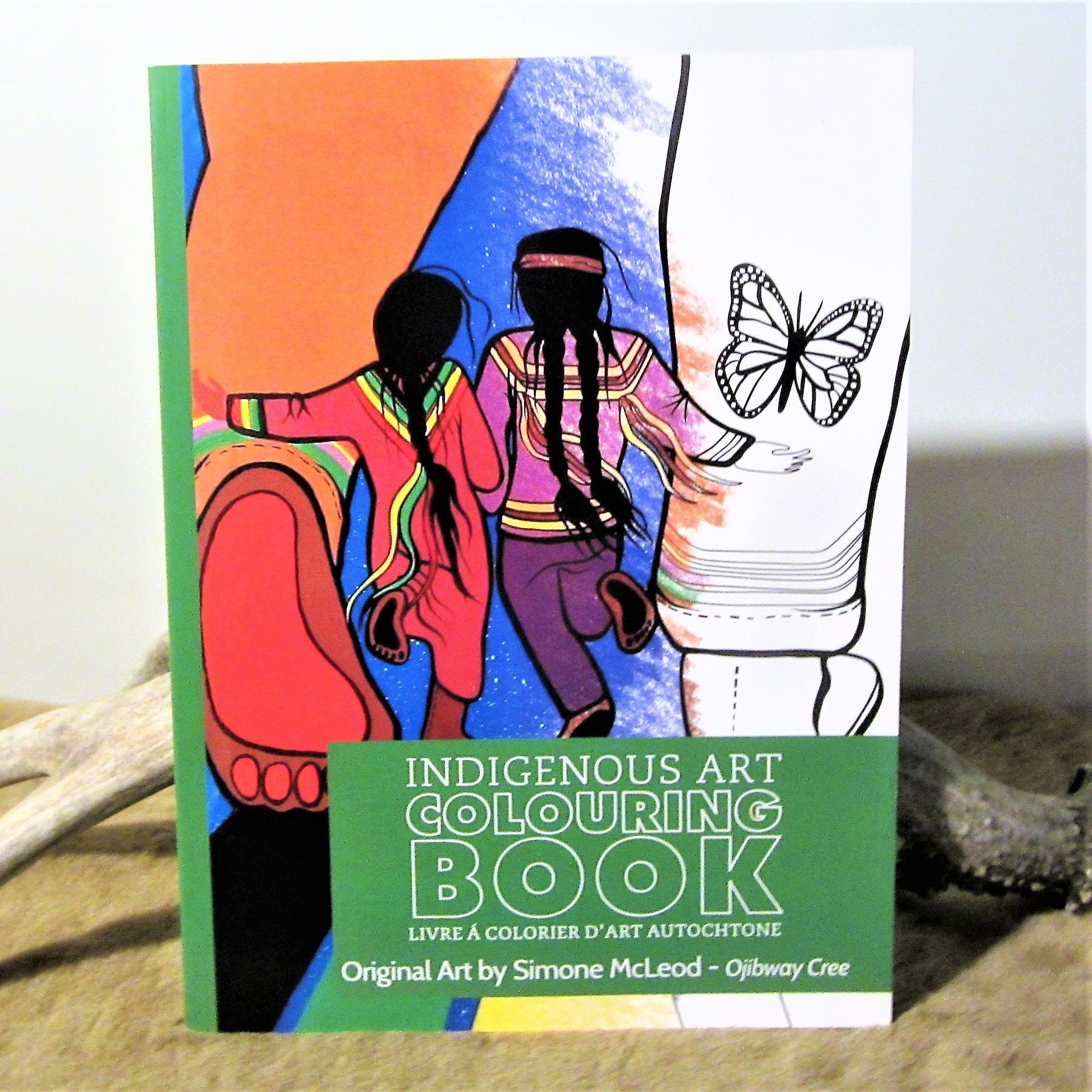 Ojibway Cree First Nation Coloring Book Sub Arctic Eastern Woodlands ...