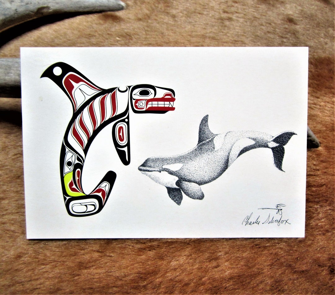 Tlingit First Nations ''killer Whale'' Native Indigenous Art Post Card ...