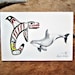 Tlingit First Nations ''killer Whale'' Native Indigenous Art Post Card ...