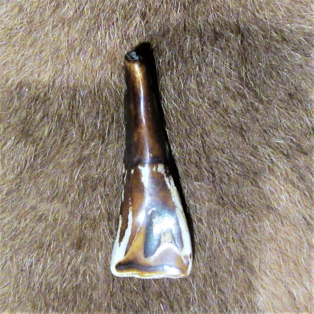 First Nations 'buffalo Bison' Tooth Pendant Great Plains Sub Arctic ...