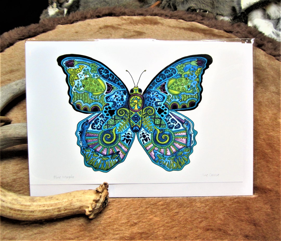 Cherokee First Nations 'blue Morpho' South Eastern Native Indigenous ...