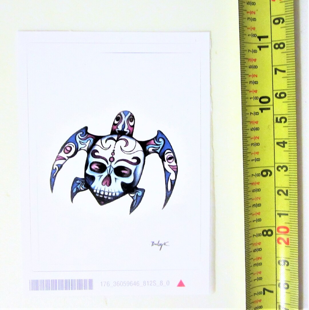 First Nations 'turtle Spirit' Sticker Decal West Coast Native ...