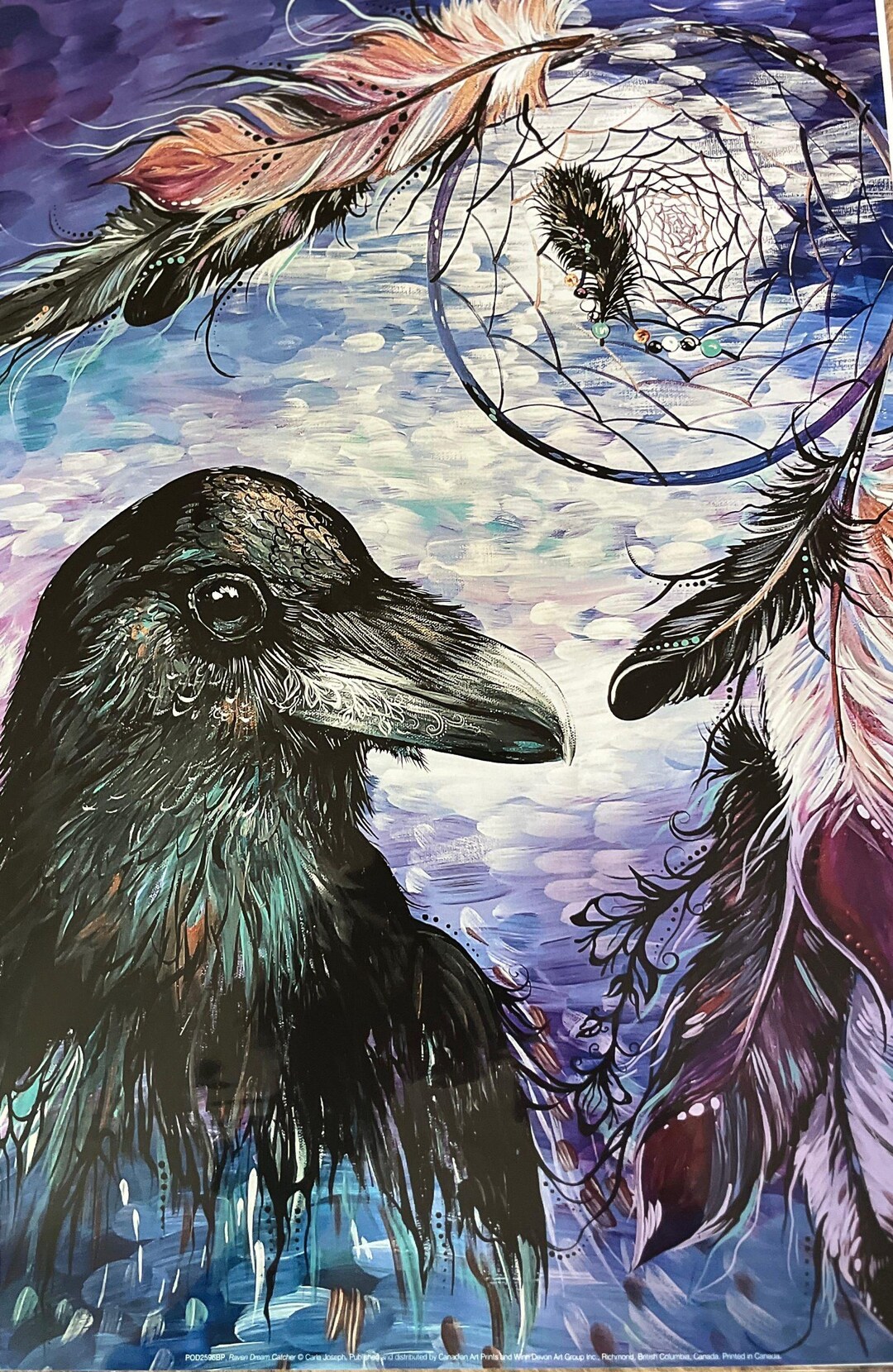 Metis Cree First Nation 'raven Dream Catcher' Contemporary Great Plains ...