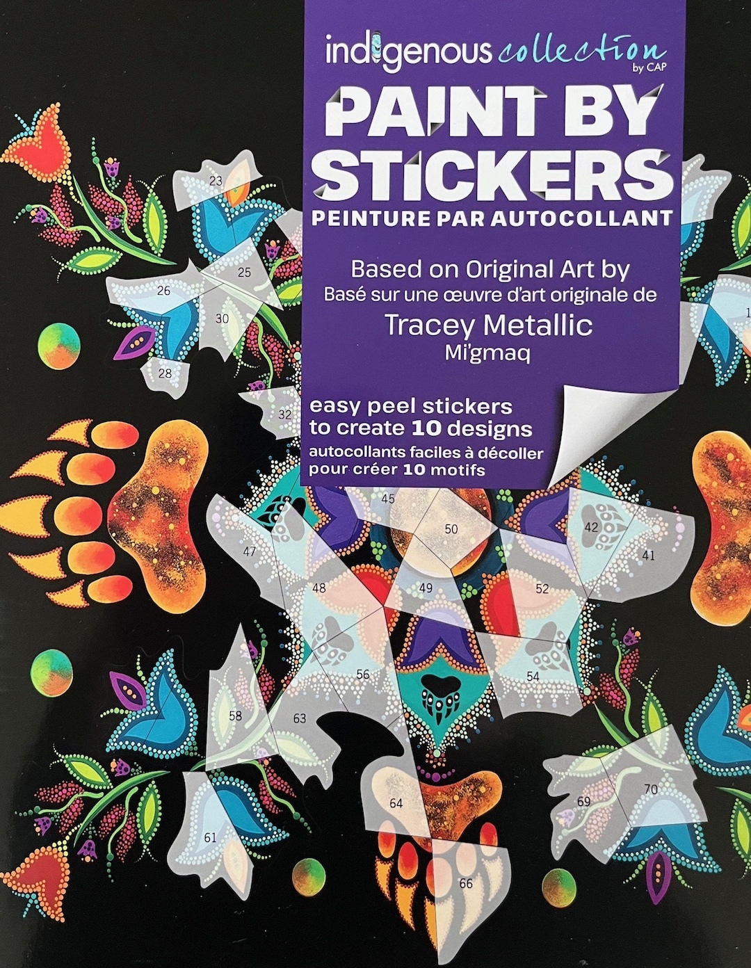 Mi’gmaq First Nation Paint by Stickers Book Sub Arctic Great Plains ...