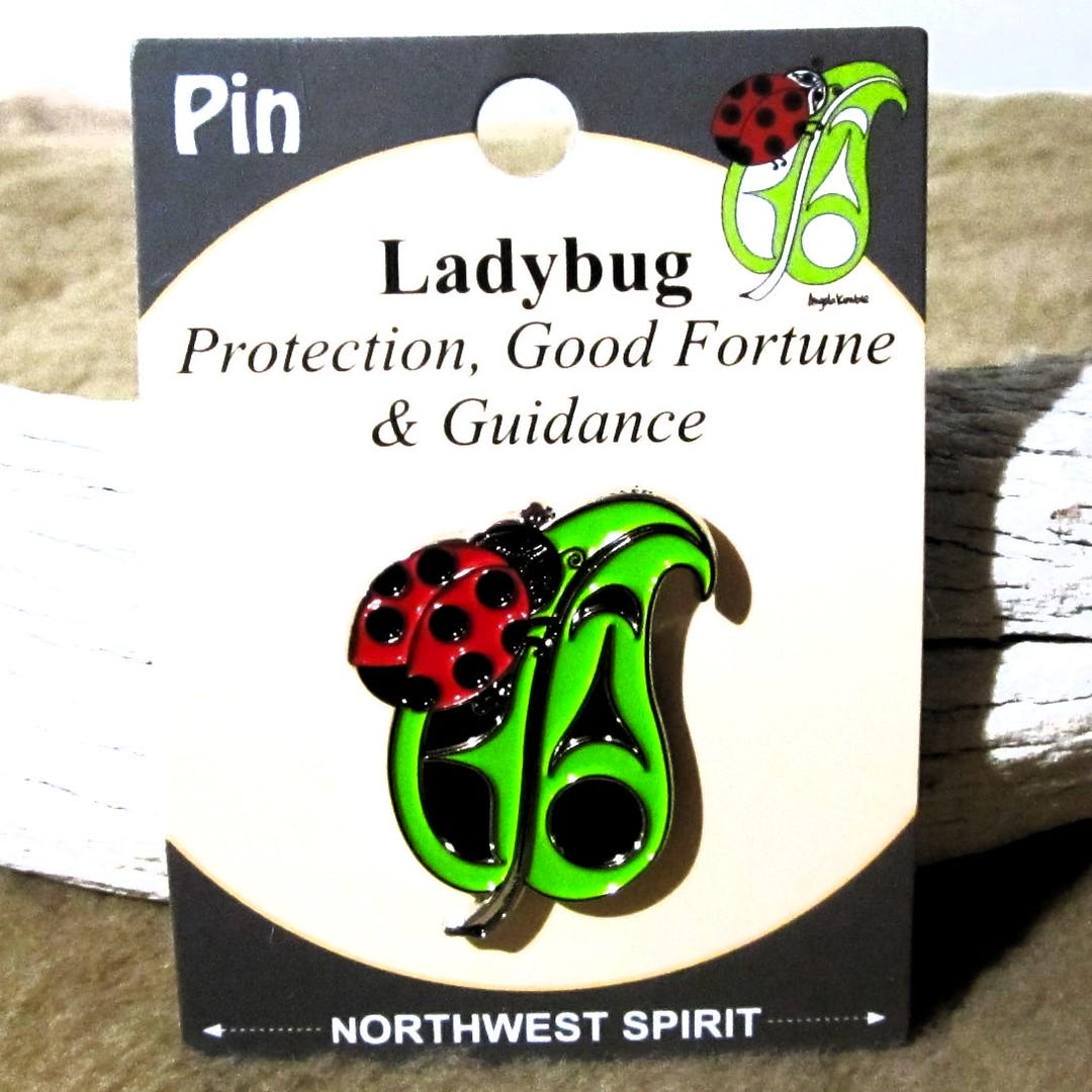 Coast Salish First Nations 'ladybug' Enamel Pin Brooch Pacific North ...