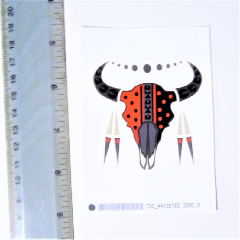 Sioux Lakota First Nations 'buffalo Skull & Feathers' - Etsy