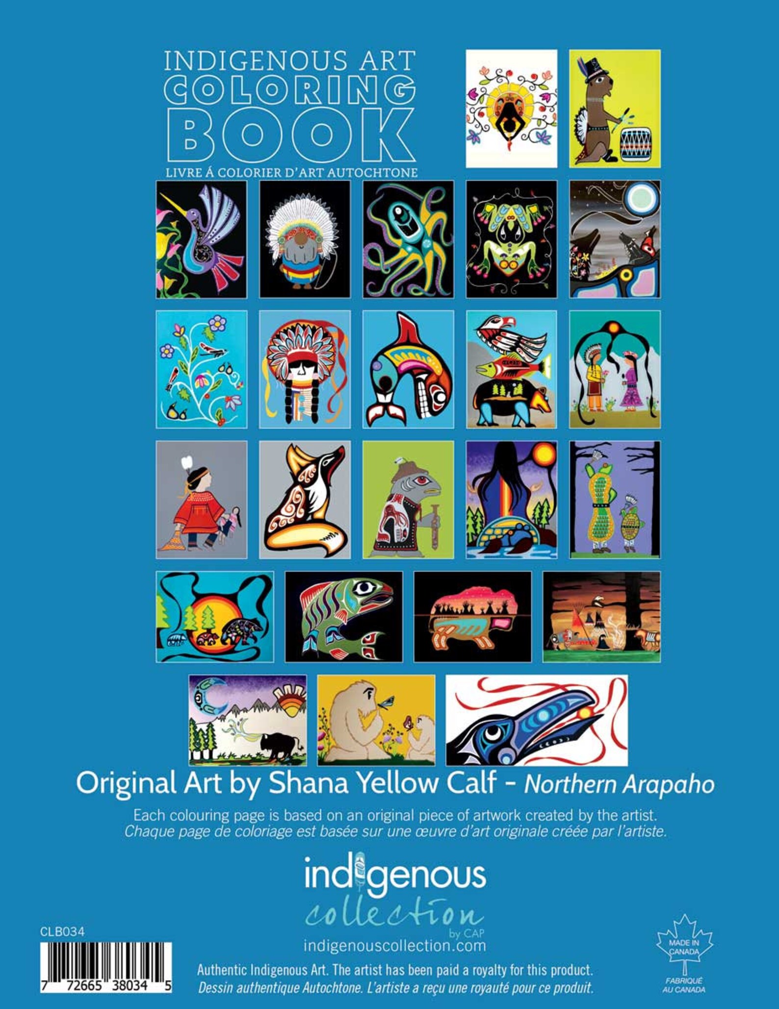 Northern Arapaho First Nation Coloring Book Great Plains Native ...