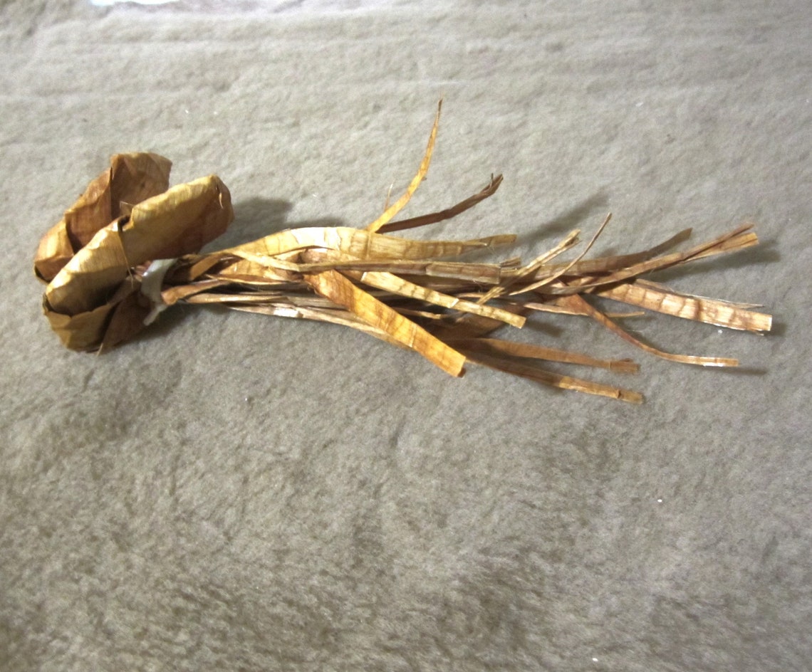 Nuu Chah Nulth First Nation Cedar Bark 'rose' Pacific North West Coast ...