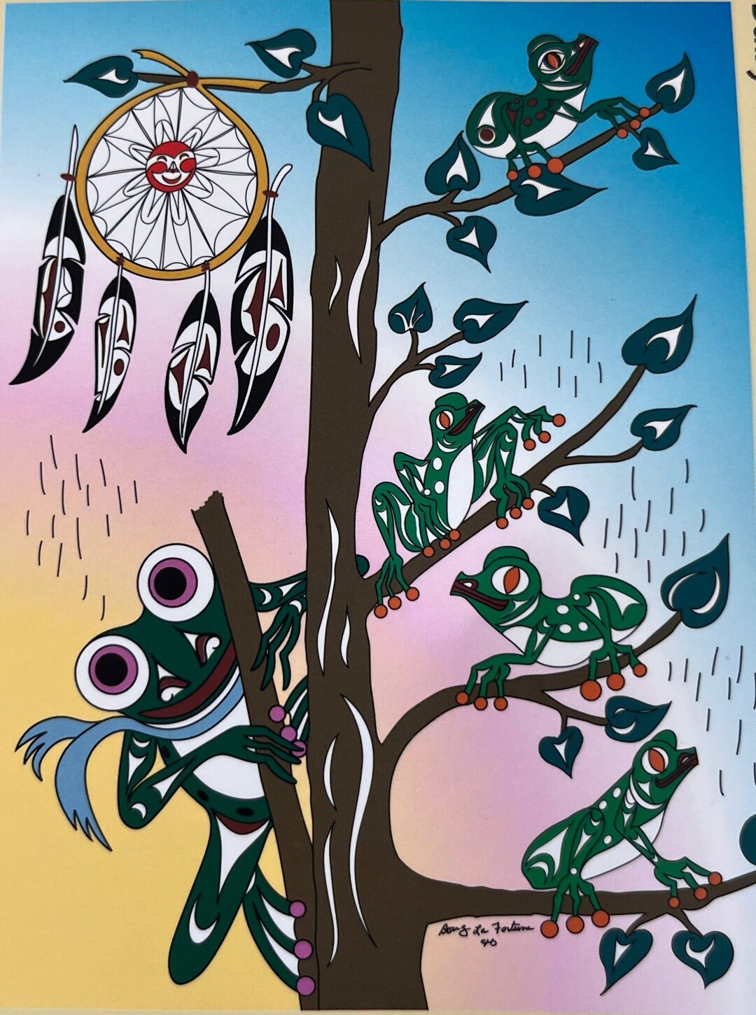 Coast Salish First Nation Minky 'tree Frog' Baby Blanket Pacific North ...