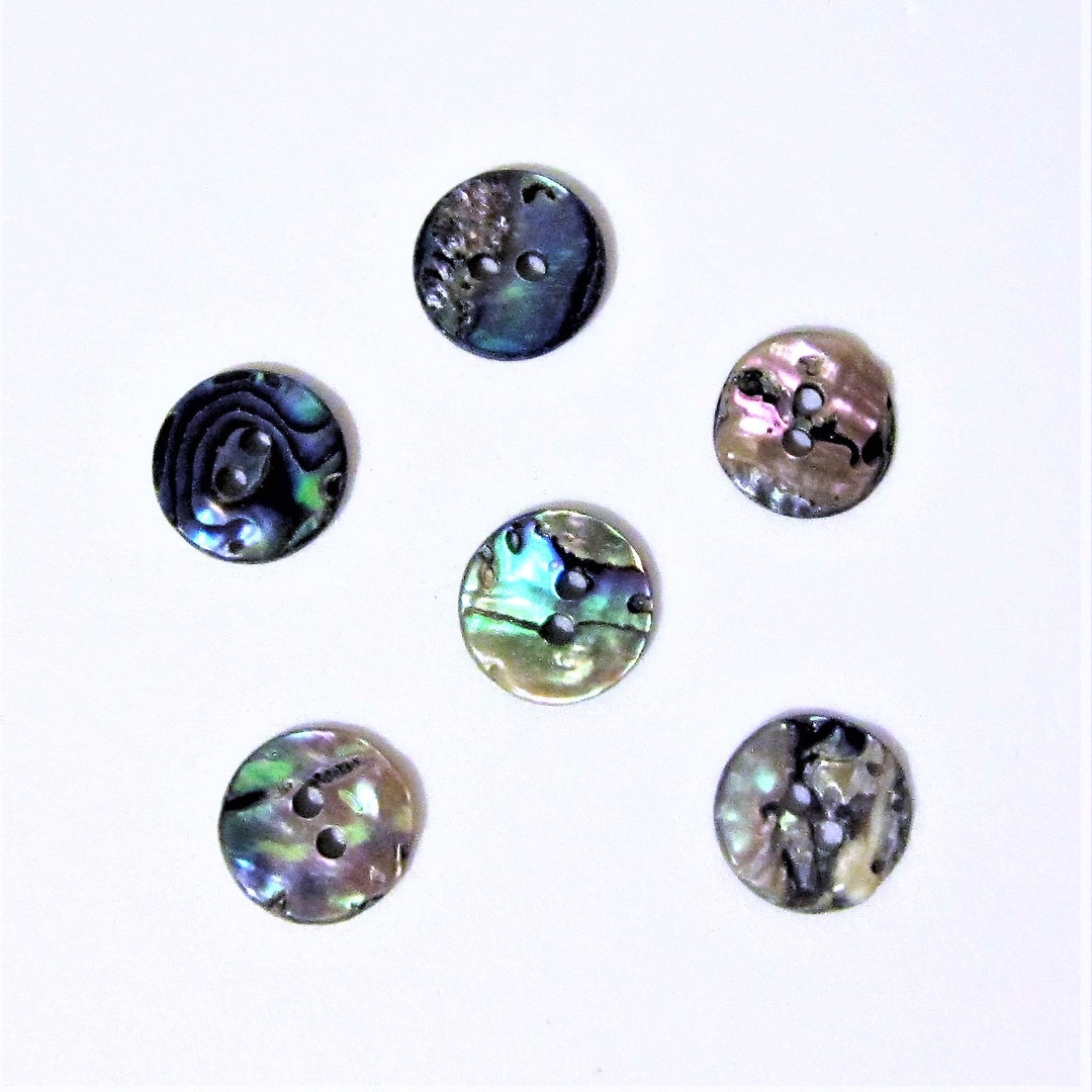 6 Genuine Paua Abalone Sea Shell Buttons First Nations Native Art Craft ...