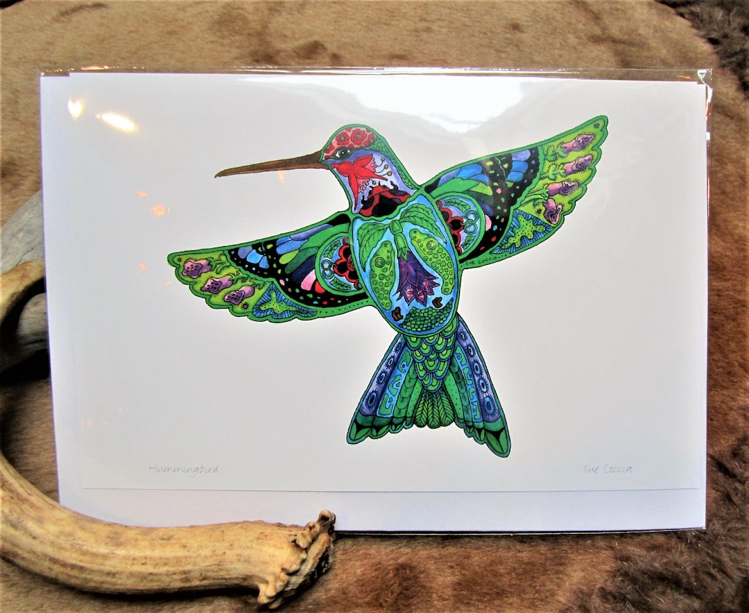 Cherokee First Nations ''hummingbird'' Native Indigenous Art Post Card ...