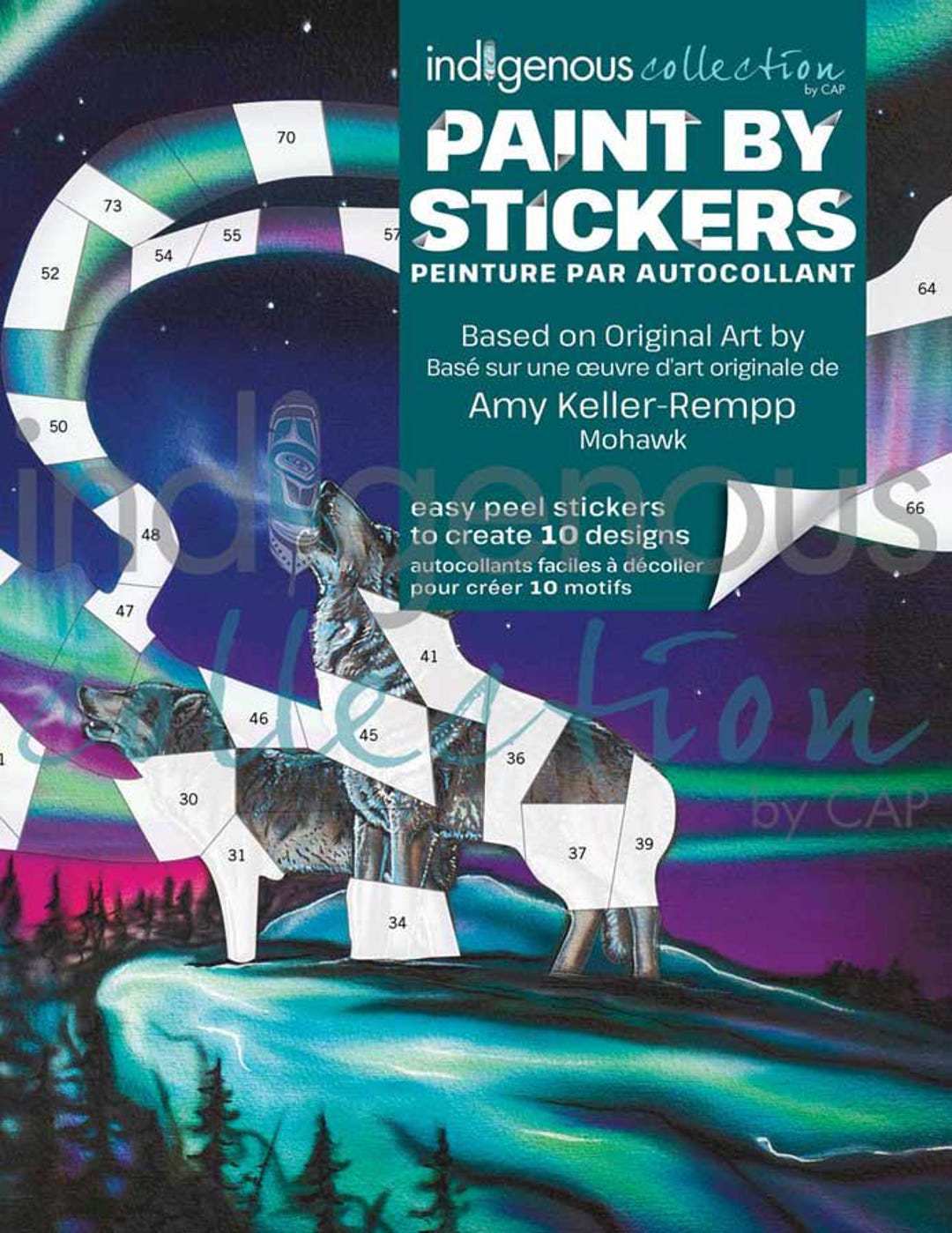 Tyendinaga Mohawk Metis First Nation Paint by Stickers Book Eastern ...
