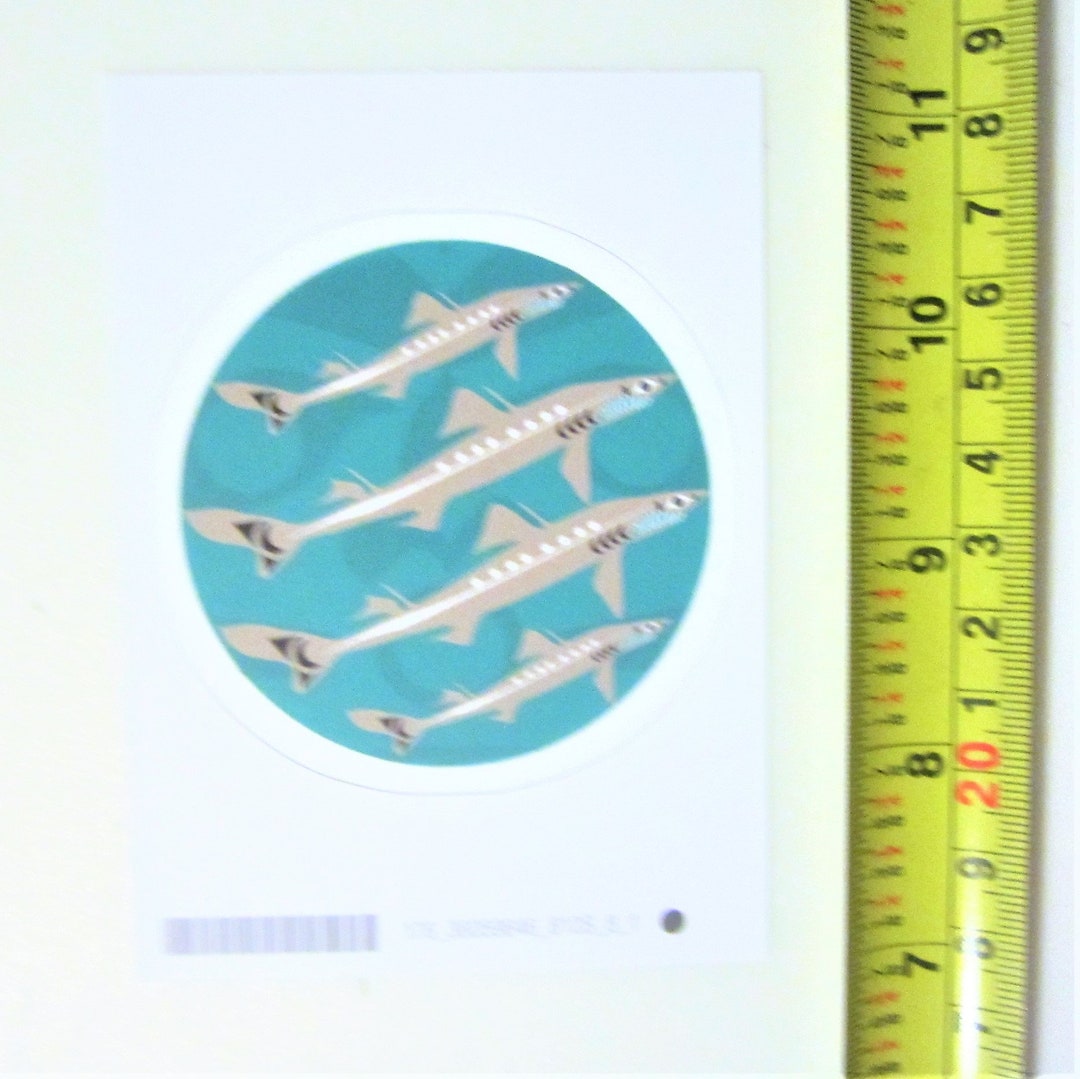 First Nations 'sharks' Sticker Decal West Coast Native Indigenous Art ...