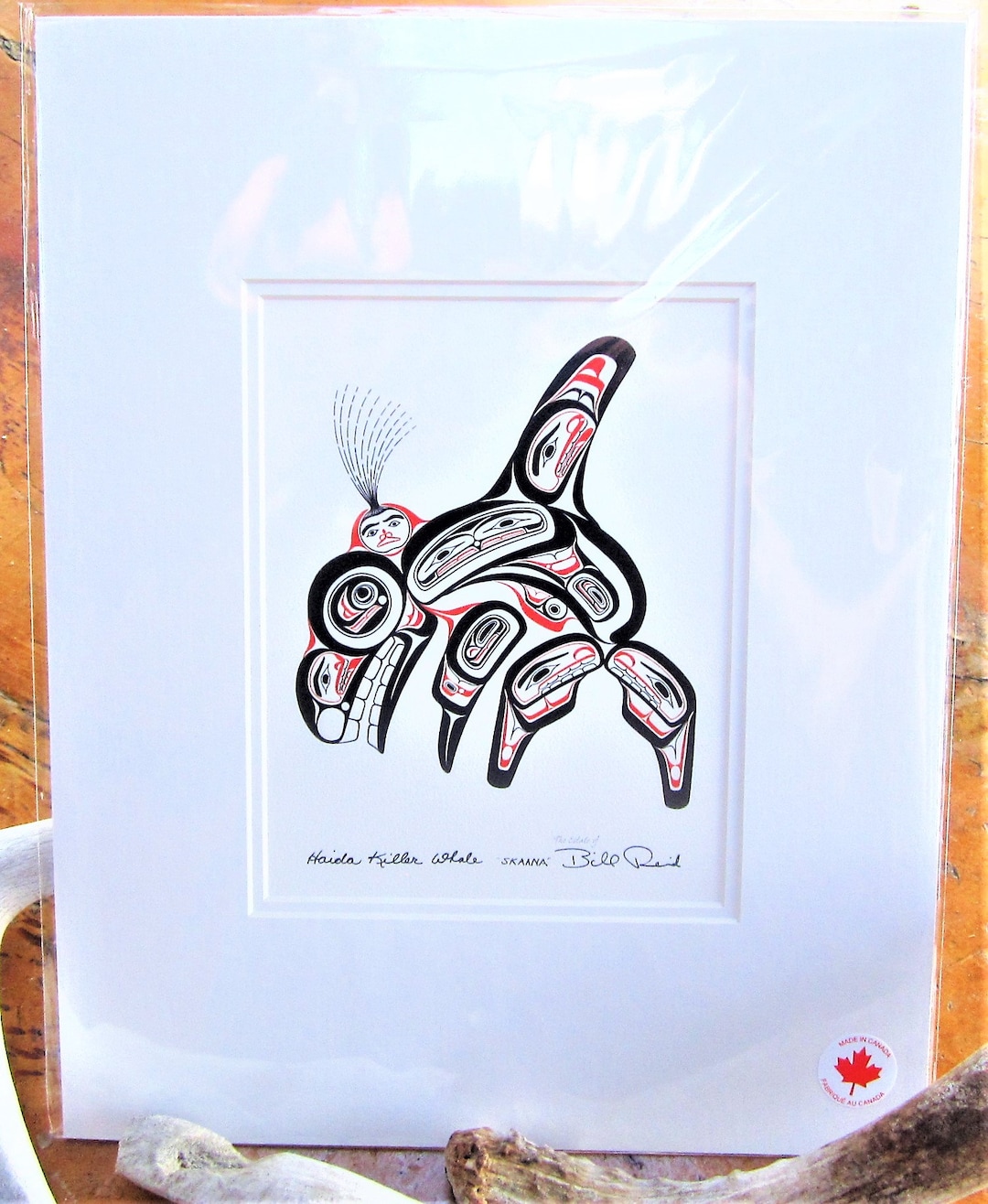 First Nation Haida Killer Whale 'SKAANA'' Contemporary Native ...