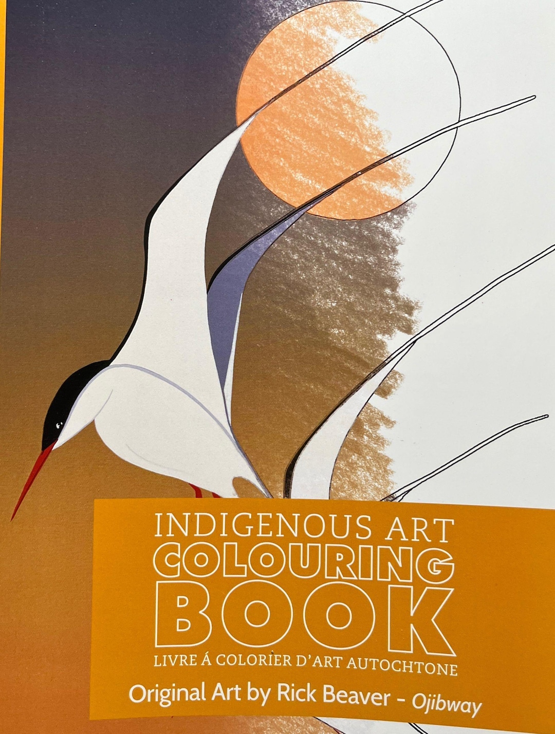 Ojibway First Nation Coloring Book Eastern Woodlands Native Indigenous ...
