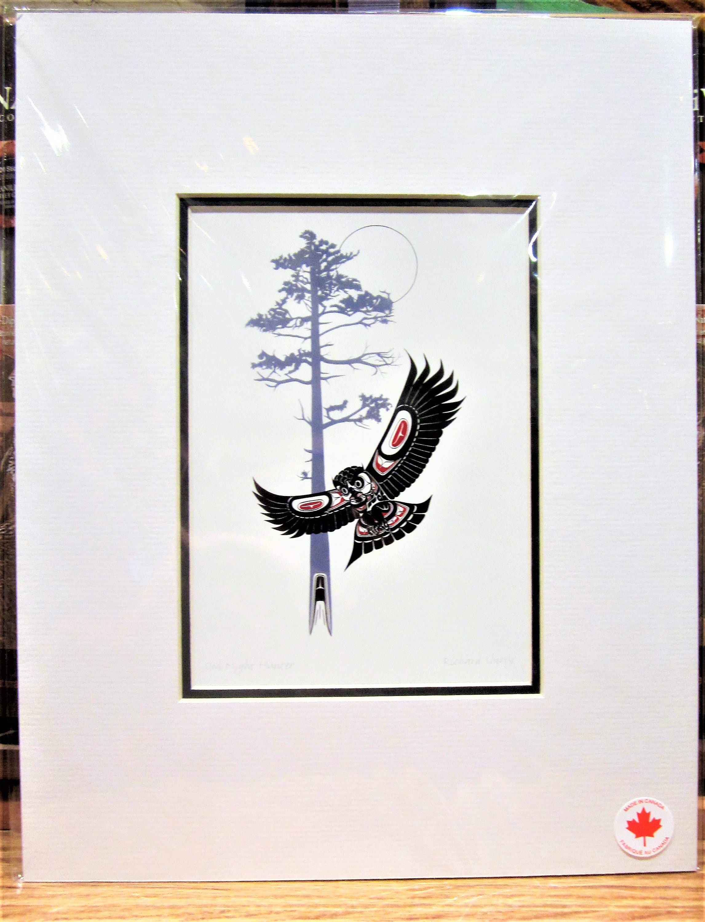 Haida First Nation ''Frog & Dragonfly'' Contemporary Native Indigenous ...