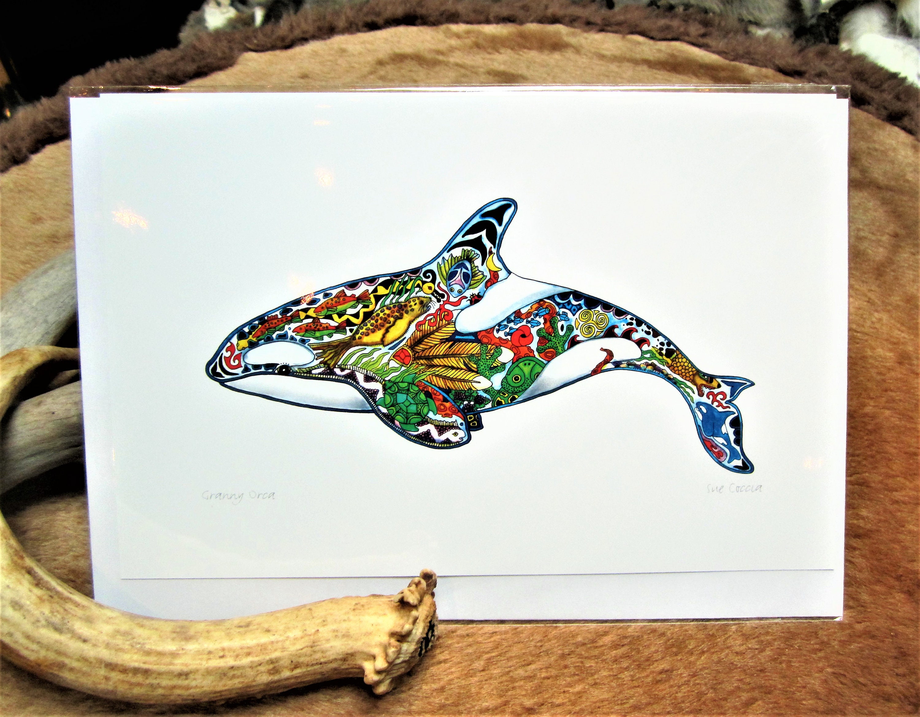 Cherokee First Nations ''granny Orca'' South Eastern Native Indigenous ...