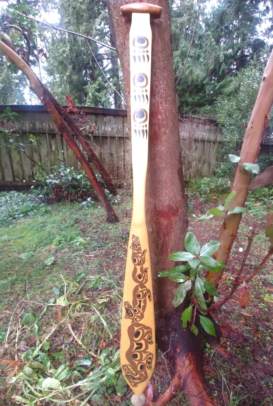Kwakiutl First Nation Halvy 'grizzly Bear Family' Cedar Paddle Pacific ...