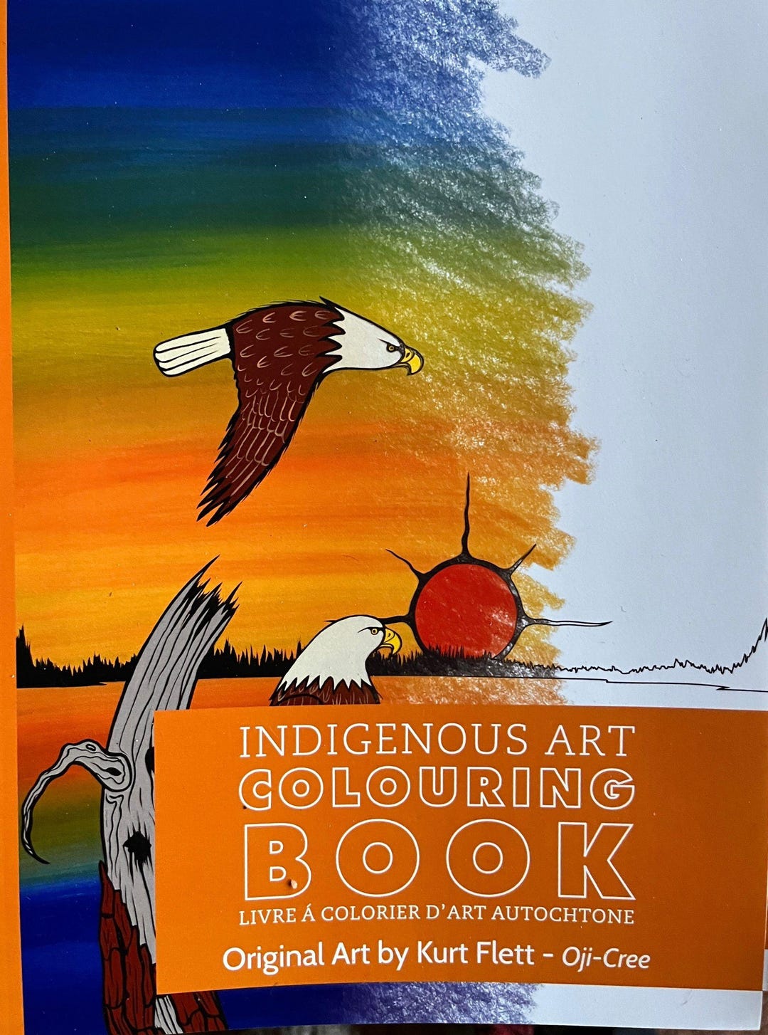 Oji - Cree First Nation Coloring Book Great Plains Sub Arctic Eastern ...