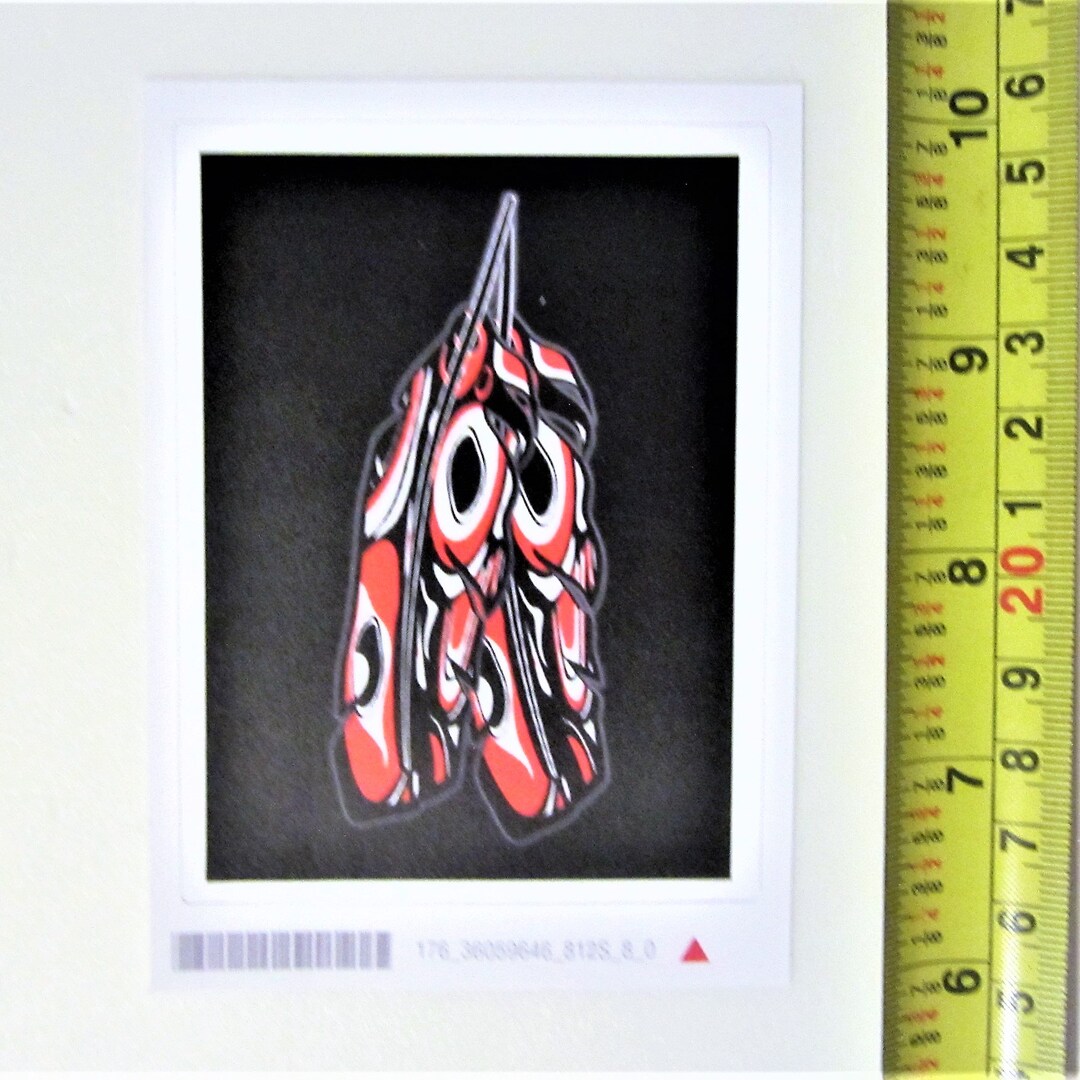 First Nations 'haida Feathers' Sticker Decal Pacific North West Coast ...