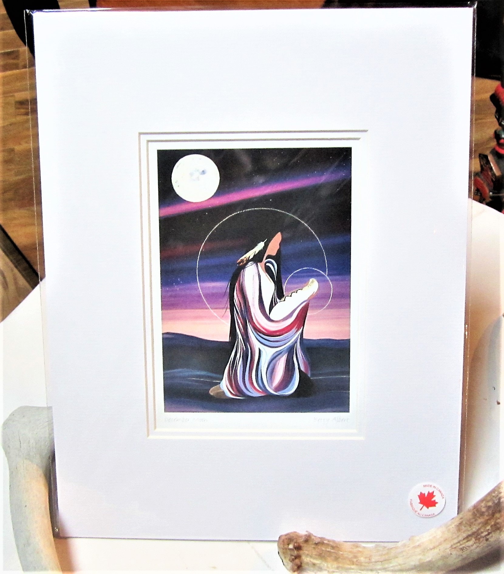 Haida First Nation ''Frog & Dragonfly'' Contemporary Native Indigenous ...