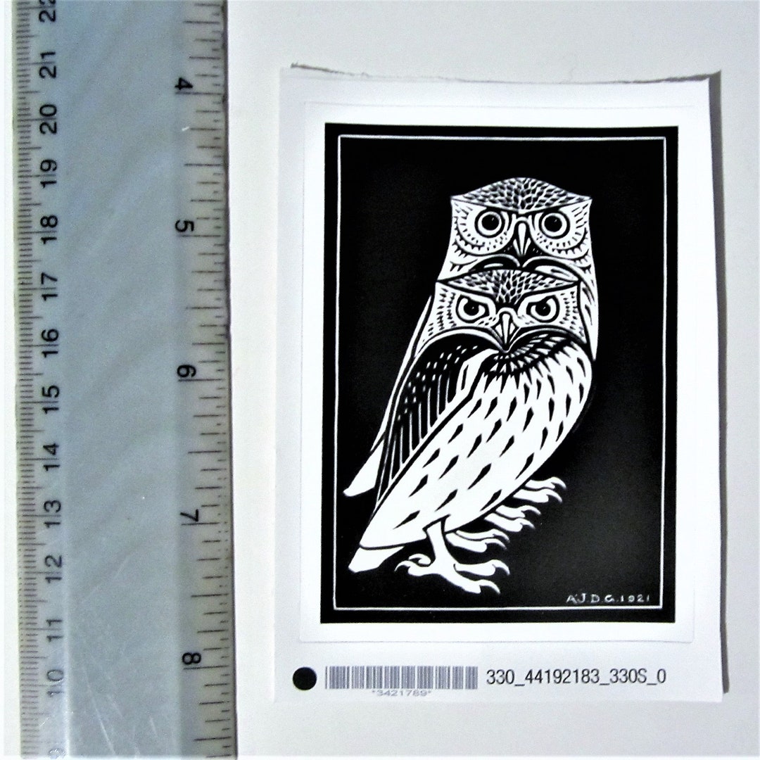 Pacific North West First Nations ''owls'' Sticker Decal Native ...