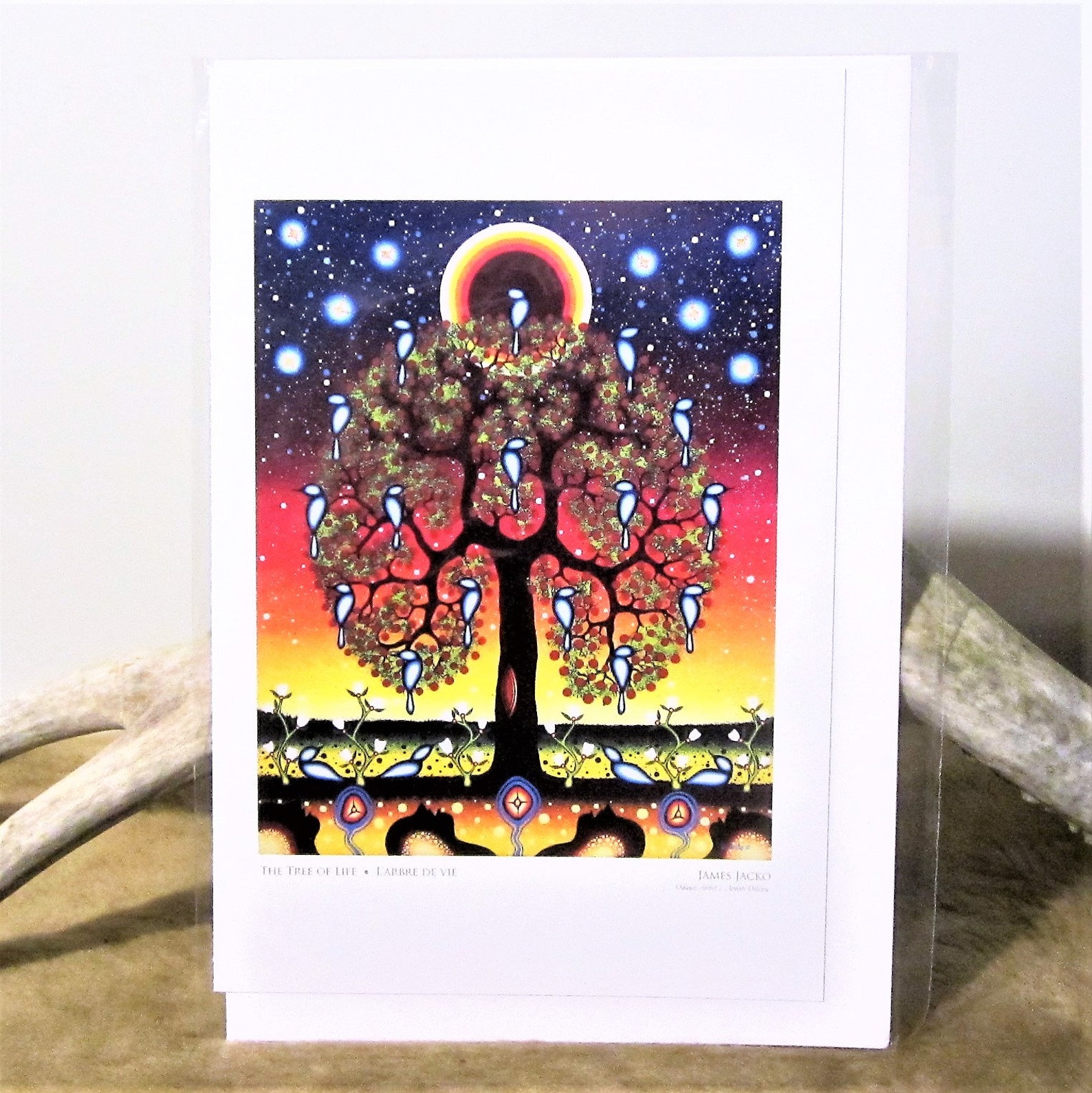 Odawa-pottawatomi First Nations ''the Tree of Life'' Native Indigenous ...