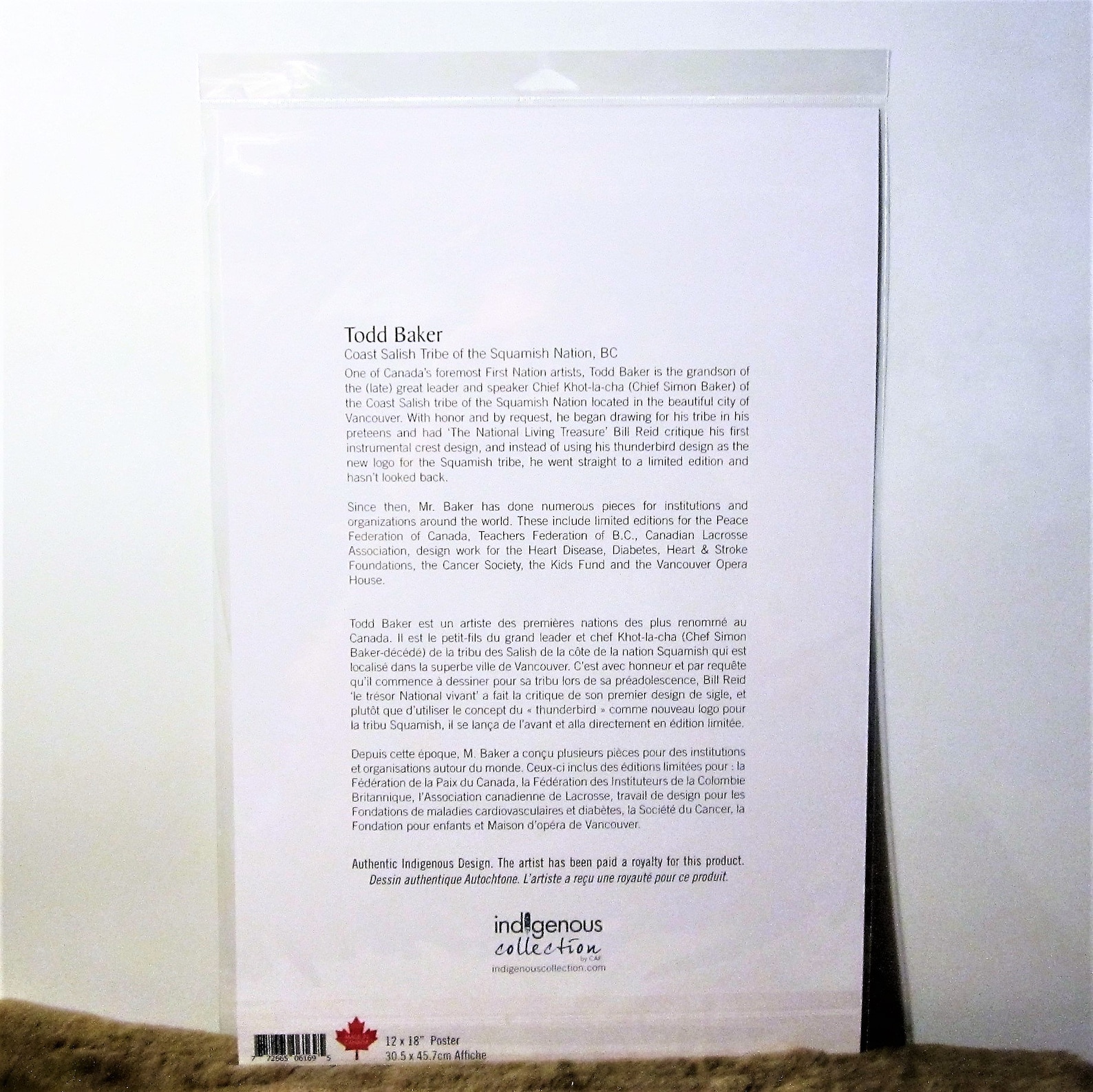 Coast Salish First Nation 'dolphin' Contemporary Pacific North West ...