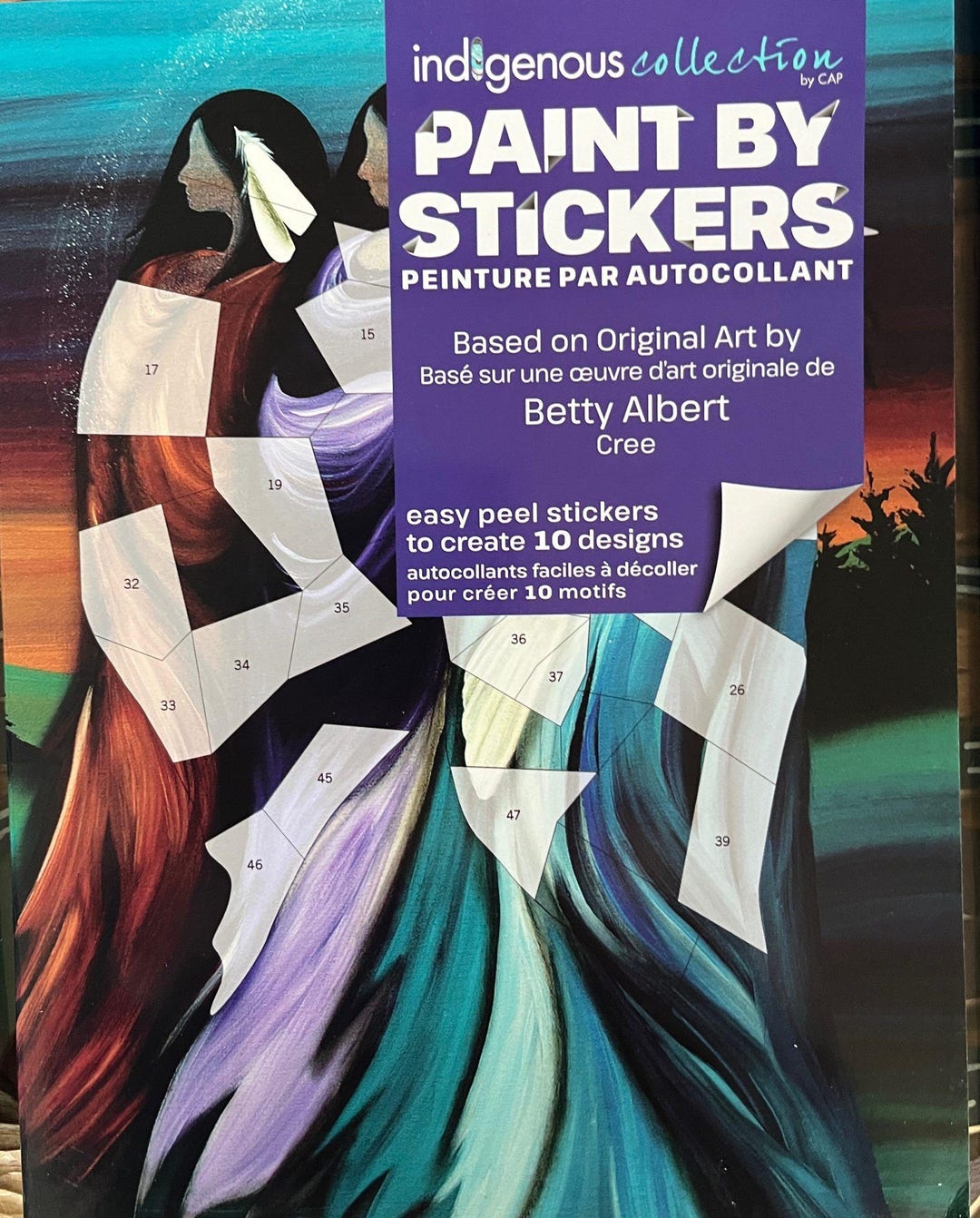 Cree First Nation Paint by Stickers Book Sub Arctic Great Plains Native ...