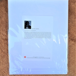 Odawa-pottawatomi First Nation ''tree of Knowledge'' Contemporary ...