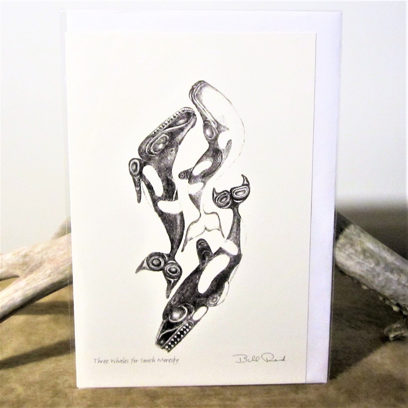 Haida First Nations ''three Whales for South Moresby'' Pacific North ...