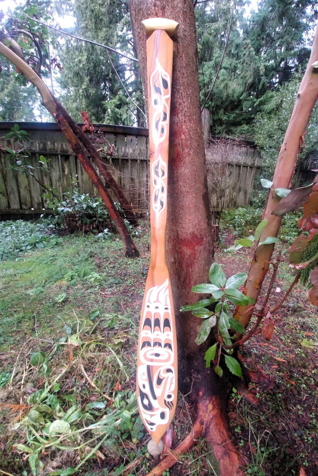 Kwakiutl First Nation Halvy 'white Raven' Arbutus Cedar Wood Paddle ...