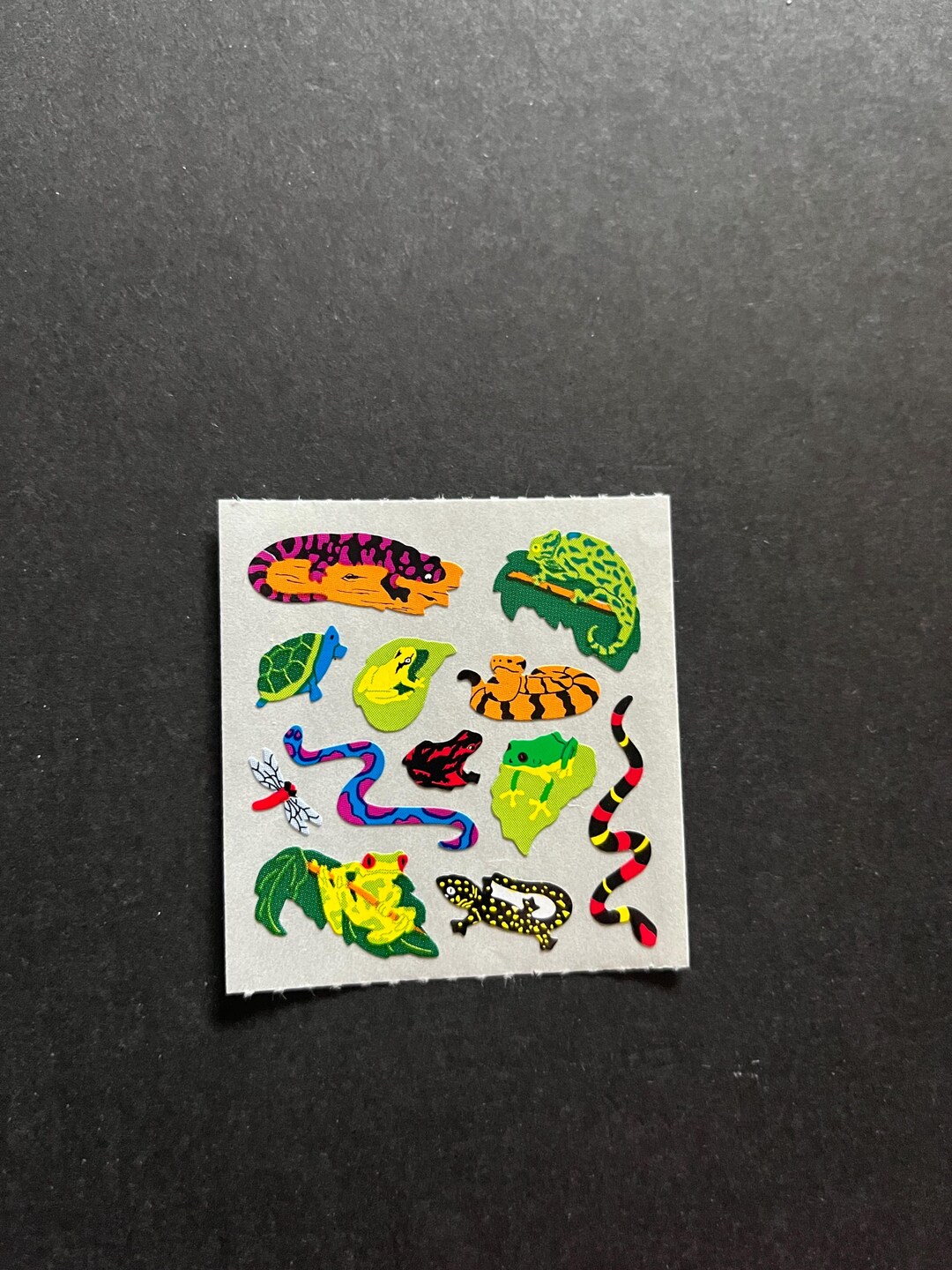 Sandylion Vintage Rare Paper Mini Frogs, Snakes, Lizards, Turtle ...