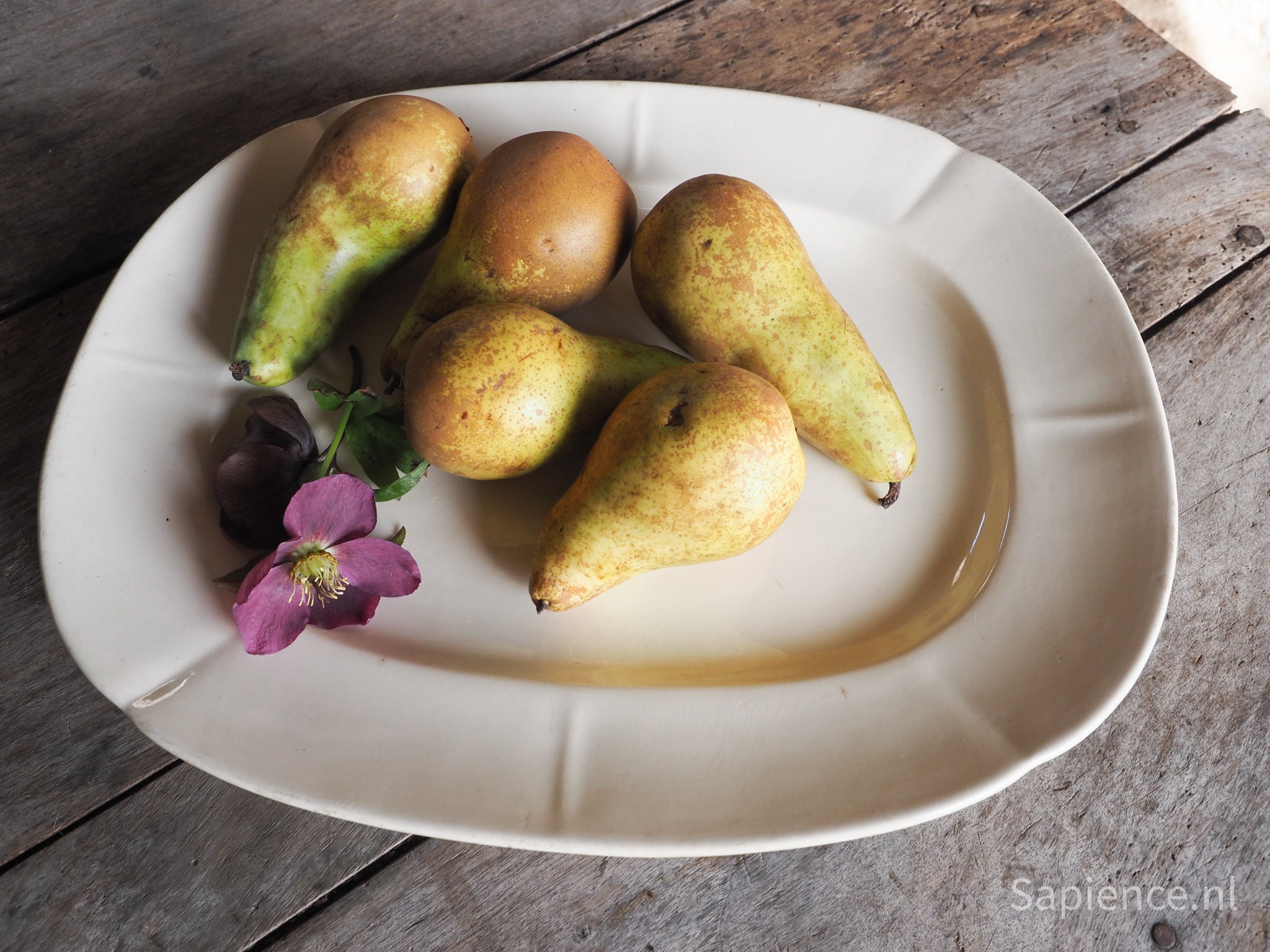 Handsome large rectangular fruit platter in excellent | Etsy