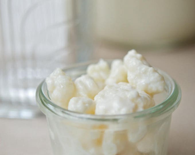 Organic Live Milk Kefir Grains - 2 Tablespoons in Glass Jar - Etsy