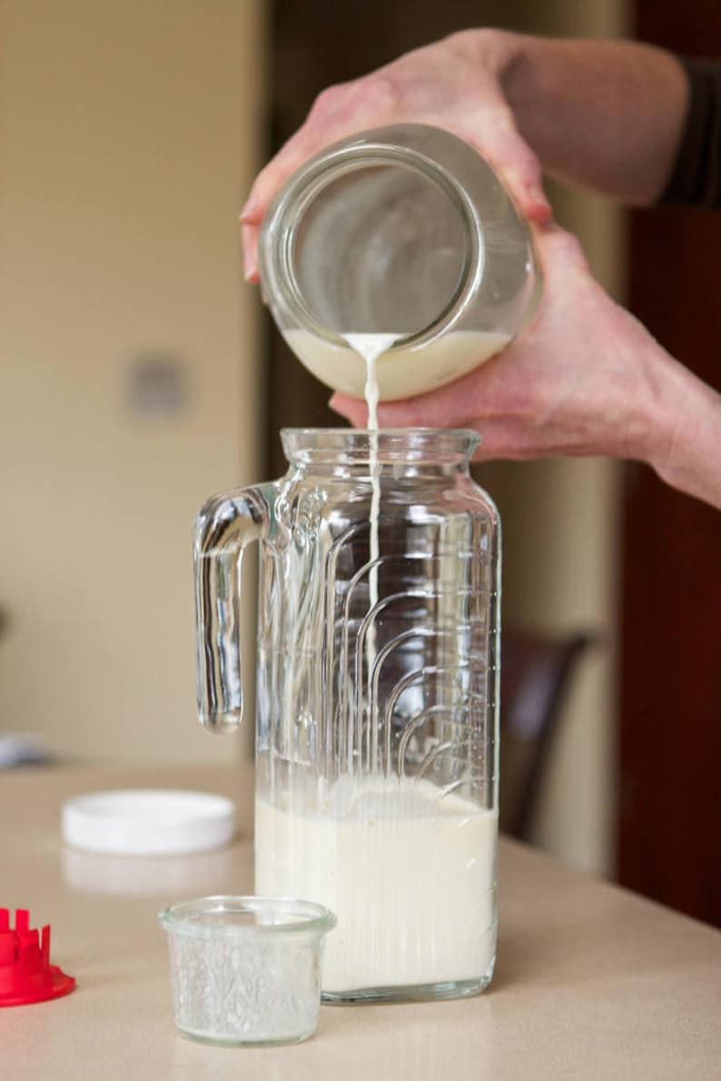 Organic Live Milk Kefir Grains - 2 Tablespoons in Glass Jar - Etsy