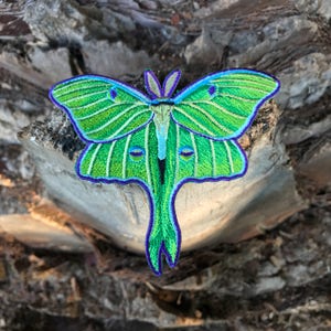 Luna Moth Embroidered Punk Patch, Full Moon, 4"wide, Moth Patch, Light ...