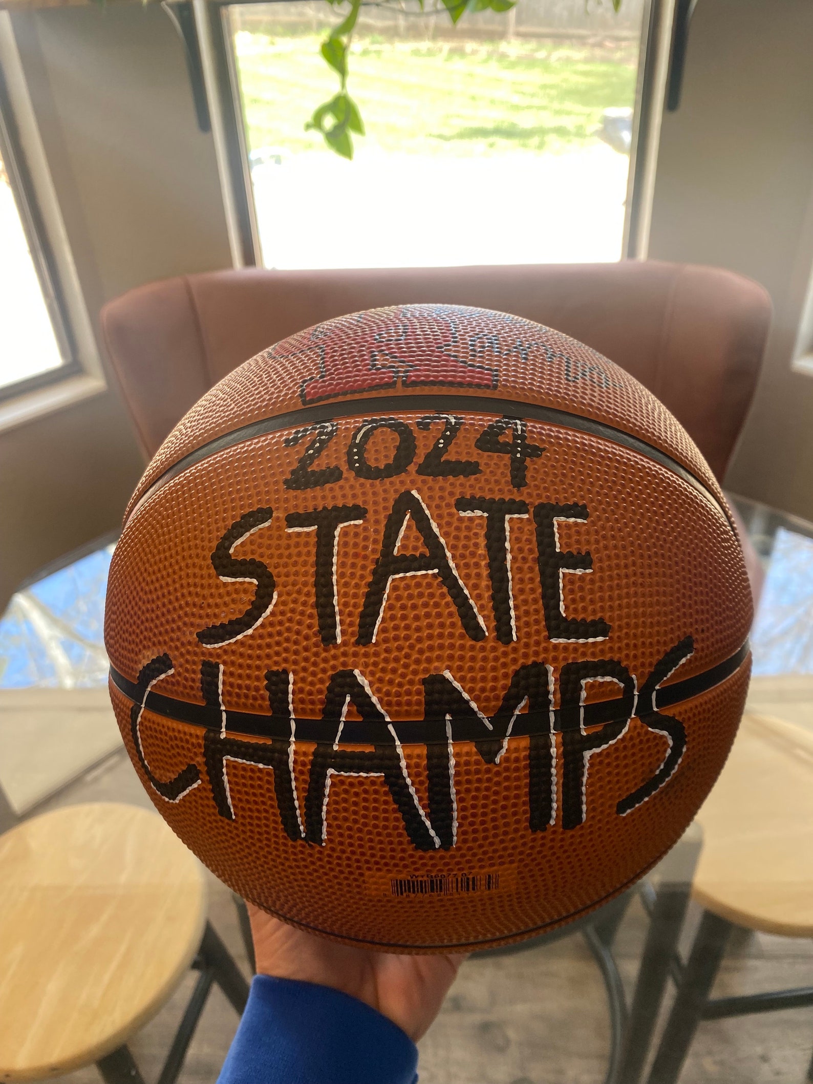 Custom, Hand Painted, Personalized Basketball, Sport Memorabilia ...