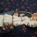 12 Vintage Bride & Groom Magnet Party Favorswedding - Etsy