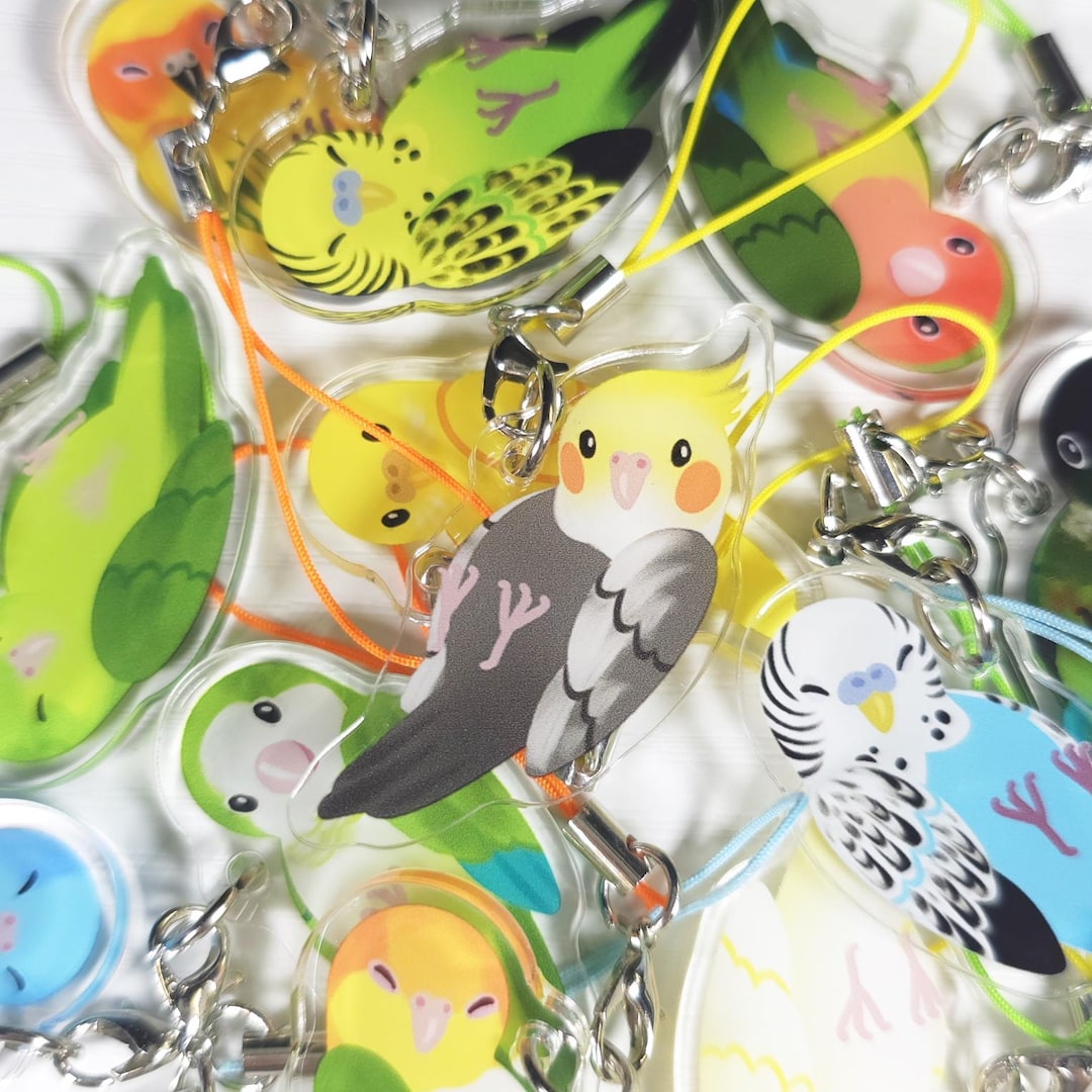 Bird Mini Acrylic Charms - Etsy