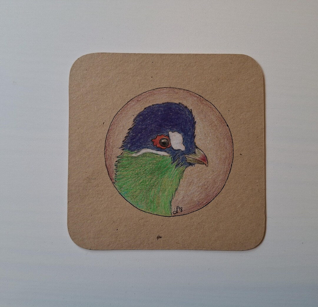 Original Watercolour Pencil Drawing: Turaco - Etsy