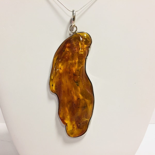 Amber Encased Insects - Etsy