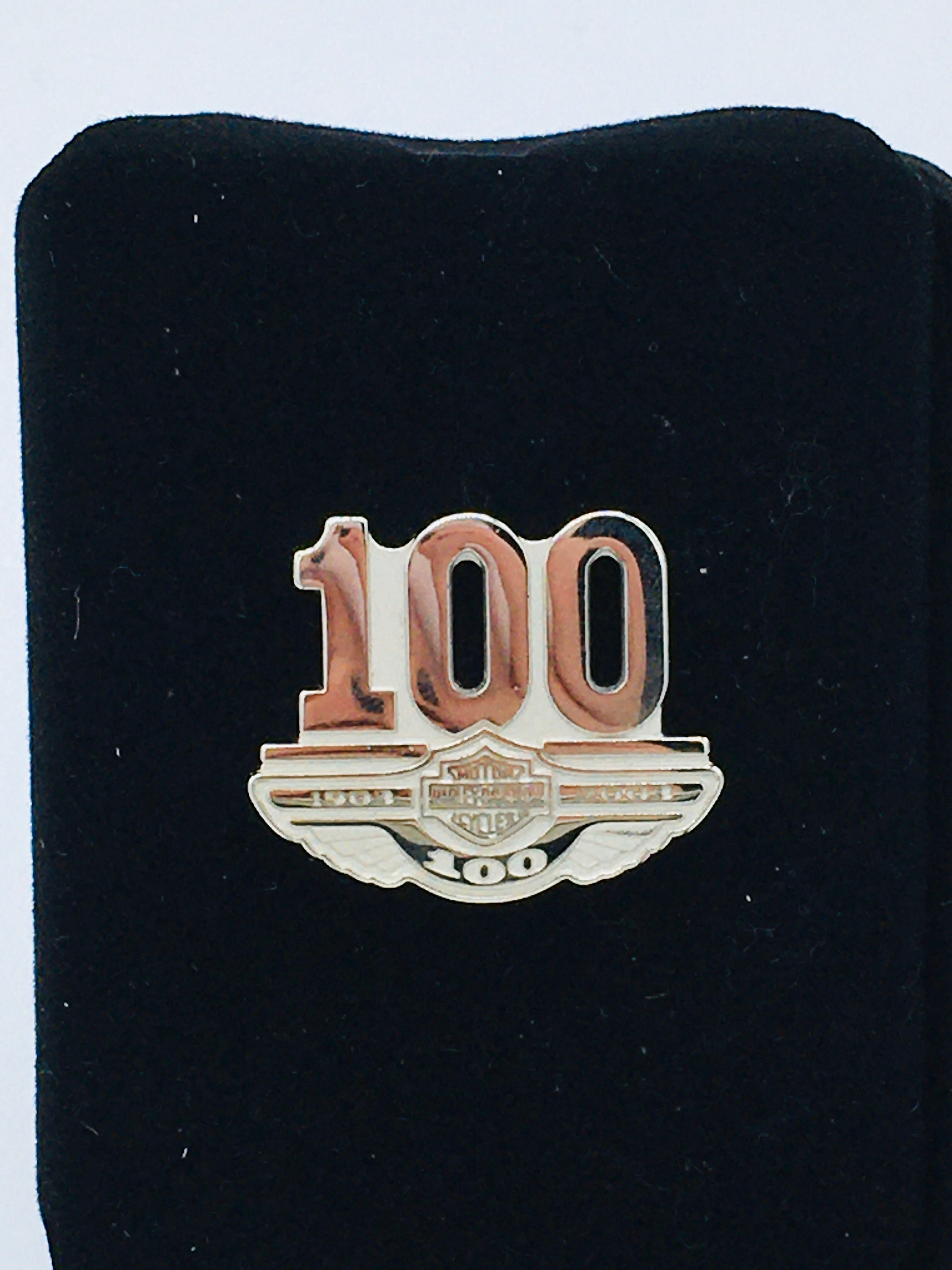 Sterling Harley Davidson 100 Years Anniversary Pin Limited | Etsy